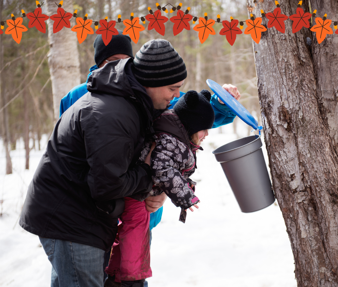 Nature Center, Hiking Trails, Summer Break Camping, Outdoor Activities in Tenafly NJ