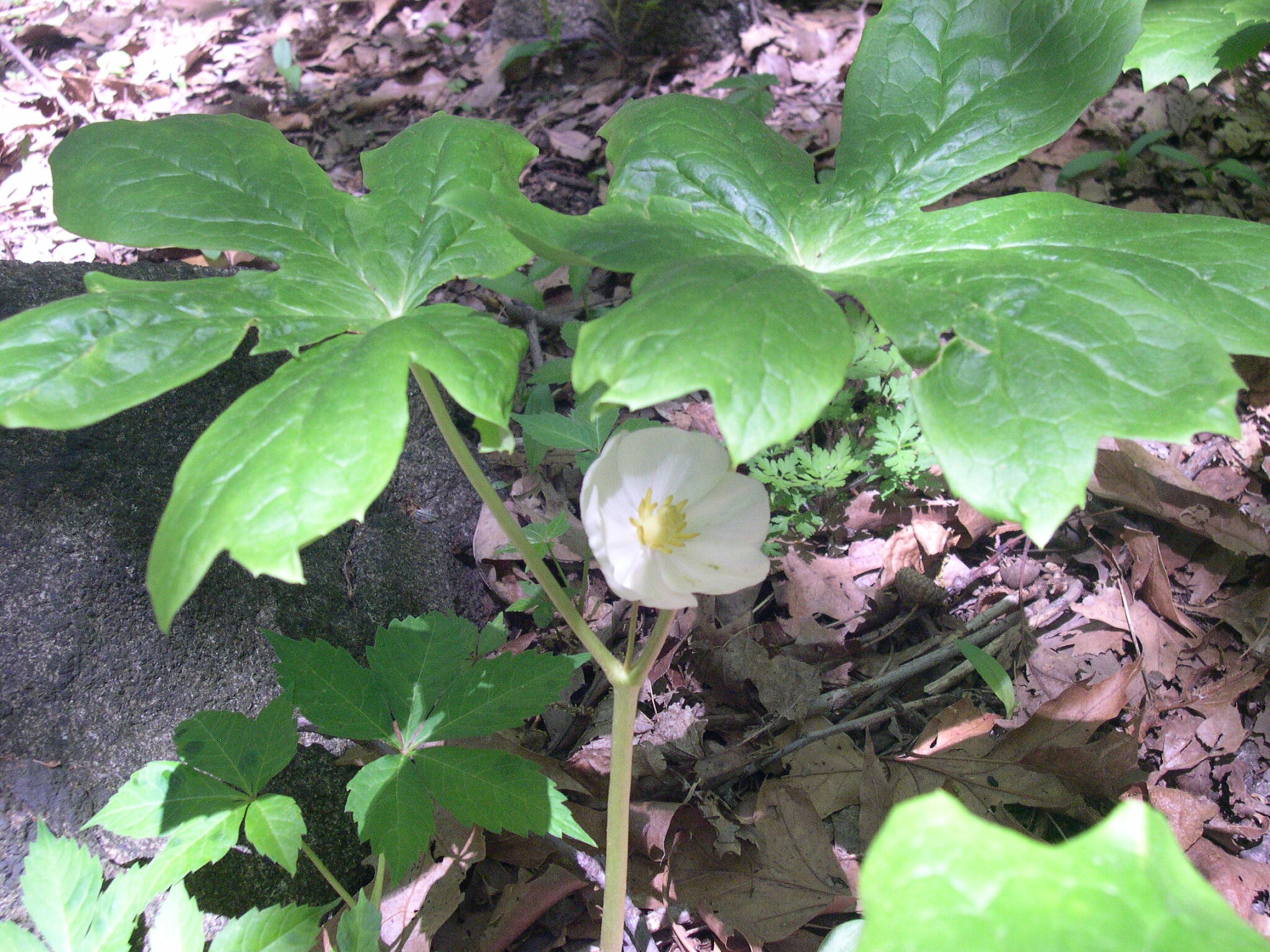 Nature Center, Hiking Trails, Summer Break Camping, Outdoor Activities ...